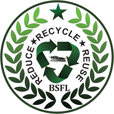 Ceylon BSFL